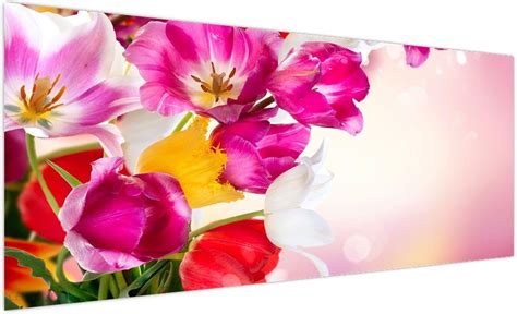 Domali Obraz tulipanów jednoczęściowy 250x125 cm 148825 Opinie i