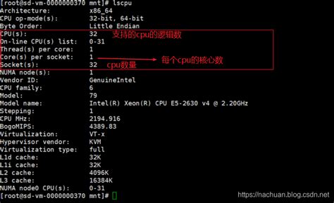 linux查看某个文件夹下子文件占用空间大小 查看cpu信息 du linux某类文件及文件夹下的大小 csdn博客