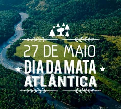 Dia Nacional da Mata Atlântica PAULO PATRIOTA