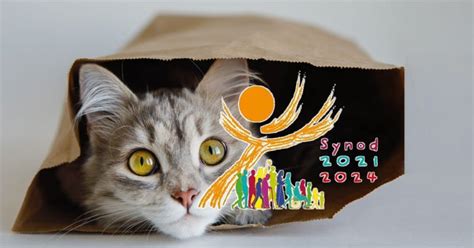 The Cats Out Of The Bag Now With The Synod On Synodality