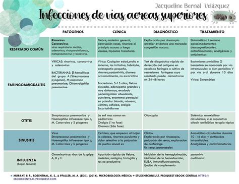Cuadro De Vias Respiratorias