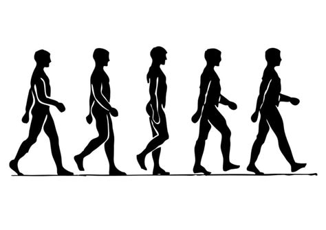 Caminar Dibujo