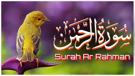 surah Rahman beautiful recitation by Qari Nadeem Yousuf سوره رحمان