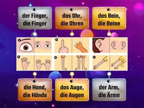 K Rperteile Jana Und Dino Labelled Diagram