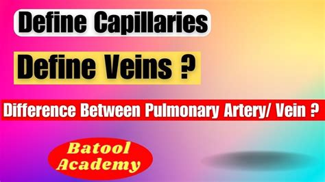 Define Capillaries Define Veins Difference Between Pulmonary