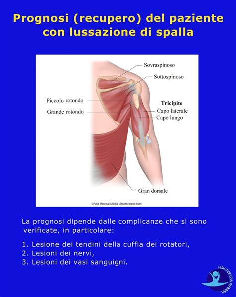 Lussazione Della Spalla Esercizi Di Riabilitazione E Recupero