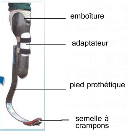 PROTHESE DE COURSE Les constituants de la prothèse