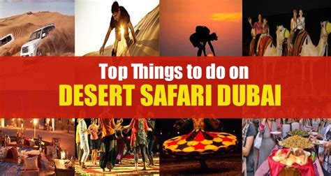 8 Things To Do On Desert Safari In Dubai FlashyDubai