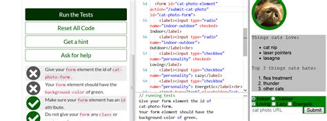 problem with id attribute and style element html css the freecodecamp forum