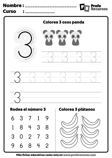 Ficha Del N Mero