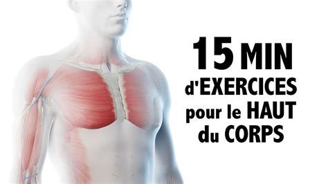 15 Minutes D Exercices Pour Le Haut Du Corps YouTube