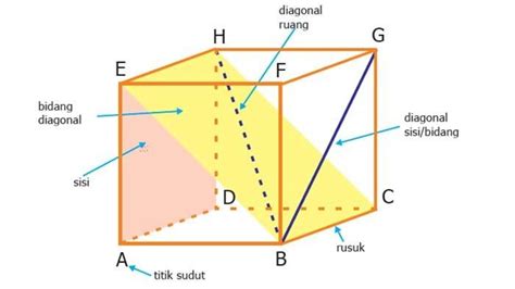 Soal Dan Kunci Jawaban Matematika Kelas 5 SD Halaman 135 Bab 4 Bangun