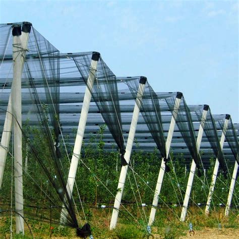 Rete Telo Antigrandine Per Orto Coltivazioni Coperture Protezione 8x10