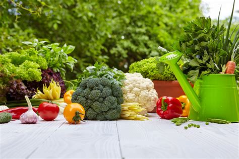 Vegetable Gardening For Beginners The Complete Guide
