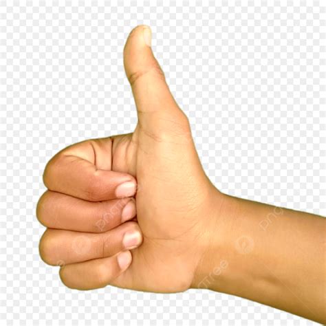 Hand Gestures White Transparent Good Hands Gesture Hand Gesture