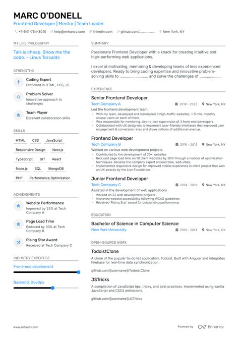 9 Front End Developer Resume Examples Guide For 2023