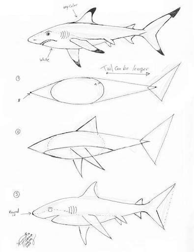 Como Dibujar Un Tiburon Guia De Dibujo Explicativa Shark Drawing