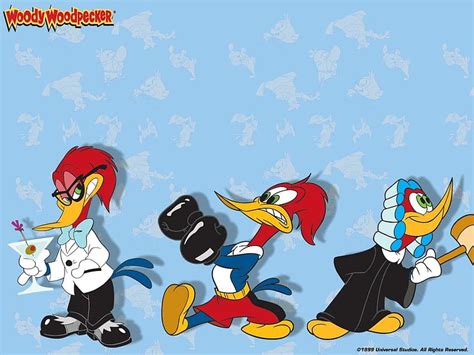Woody Woodpecker Hd Wallpaper Pxfuel The Best Porn Website