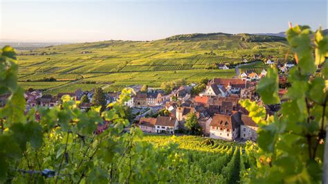 Sur La Route Des Vins DAlsace Explore Grand Est