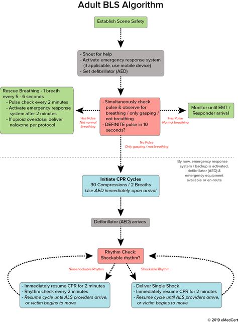 American Heart Association Heartcode Acls