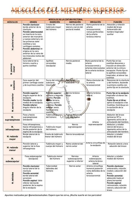 Resúmenes de Músculos del tórax Descarga apuntes de Músculos del tórax