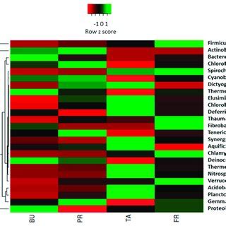 Heatmap Showing The Relative Abundance Of Bacteria And Archaea At Each