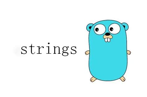 golang strings 知乎