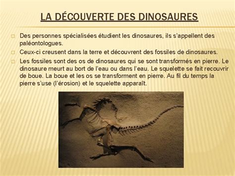 Les Dinosaures Sont Des Animaux Qui Sont Apparus