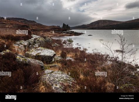 Galloway Forest Park Landscape By Loch Doon Stock Photo Alamy