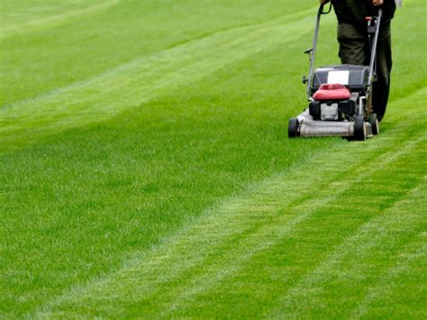 13 Essential Lawn Mowing Tips To Grow A Healthy Lawn HGTV