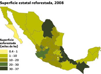 Informe En Resumen 2009