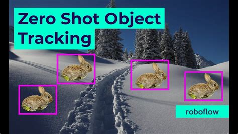 Introducing Zero Shot Object Tracking Youtube