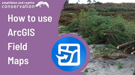 How To Use ArcGIS Field Maps YouTube