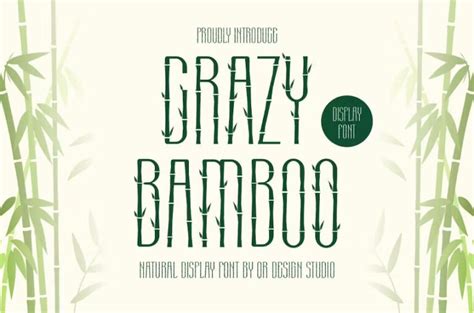 Crazy Bamboo Font FreeDaFonts
