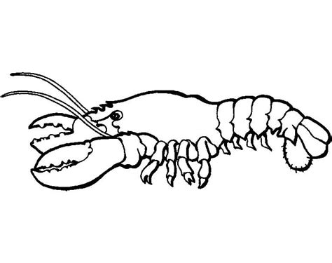 Desenhos De Lagosta 6 Para Colorir E Imprimir ColorirOnline