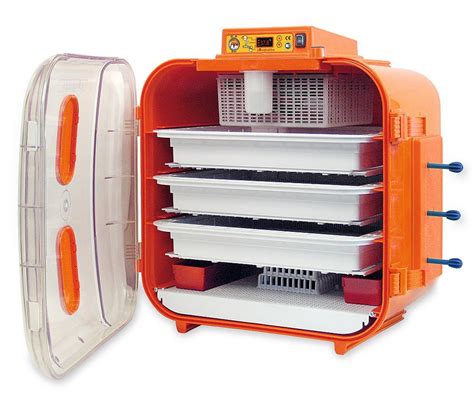 Couveuse Semi Automatique Les 8 meilleurs modèles pas cher