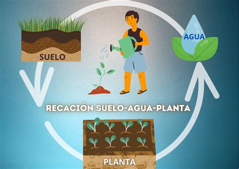 La estrecha y vital relación suelo agua planta AIANER Asoc