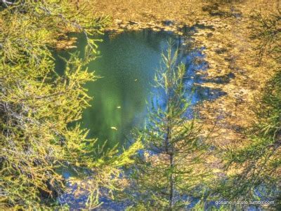 Post 168319665126 Gosane Nature Tumblr Tumbex
