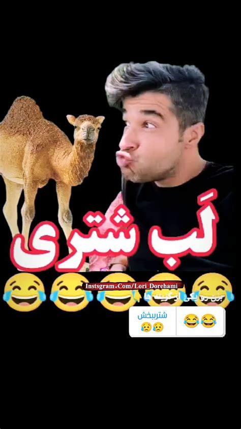 lori dorehami instagram on Pinno بفرس برا کسی لب شتری هس طنز لری