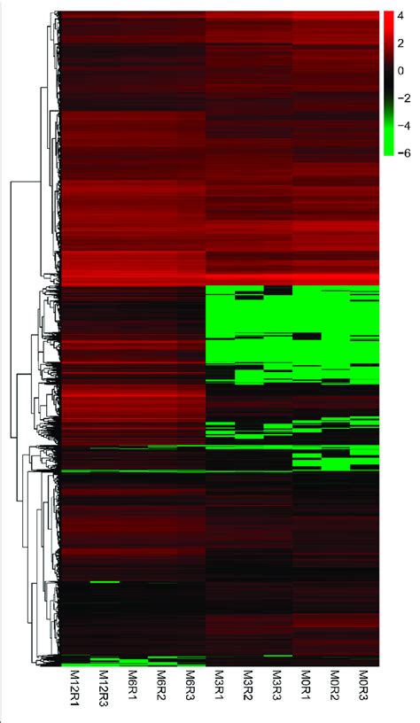 Hierarchical Clustering Of Genes Expression From M M M And M