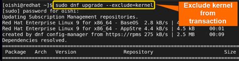 How To Use DNF Package Manager In Linux A Complete Guide LinuxSimply