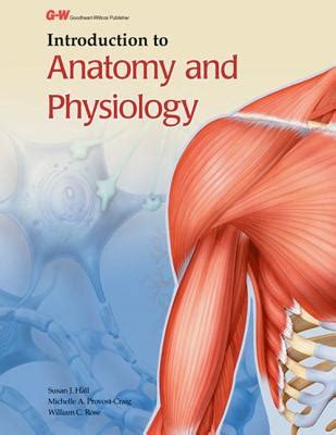 Introduction To Anatomy And Physiology