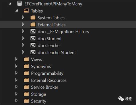 entity framework core 使用fluent api配置多对多关系 董川民
