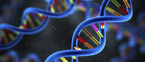 Triplex Origami Manipulates DNA Shape BioTechniques