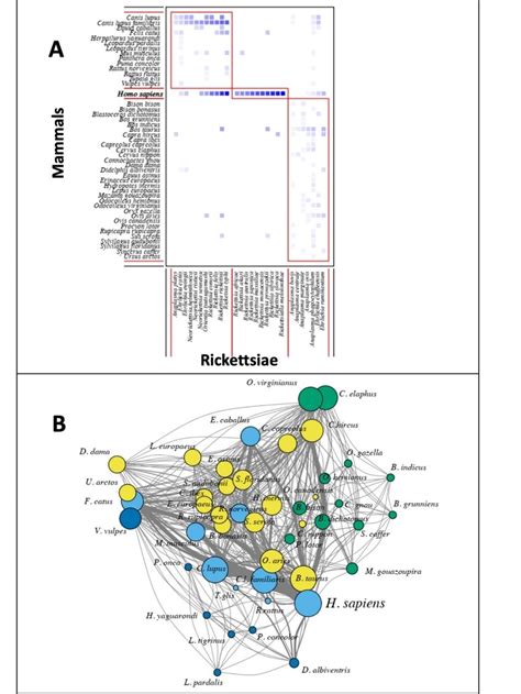 composite panels of modules identified using a bipartite network and download scientific