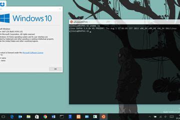 How To Run The Bash Command Line In Windows 10