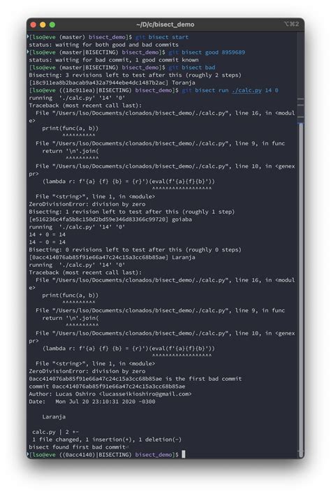 Git As Debugging Tool Lucas Seiki Oshiro