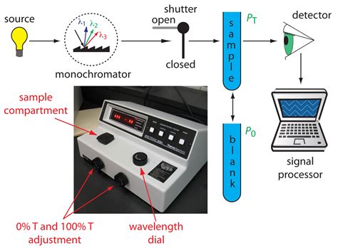 What Does A Spectrophotometer Do