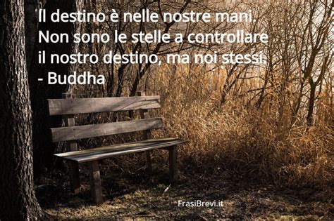 Aforismi E Citazioni Buddiste Sul Destino Frasi Brevi