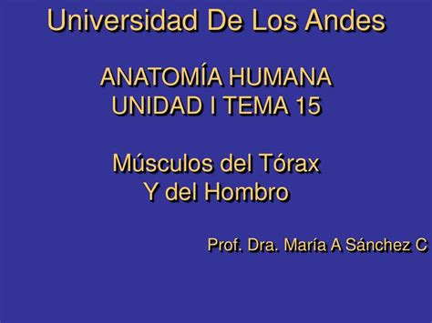 Músculos del tórax y del hombro Carlos Daniel Cárdenas Santos uDocz